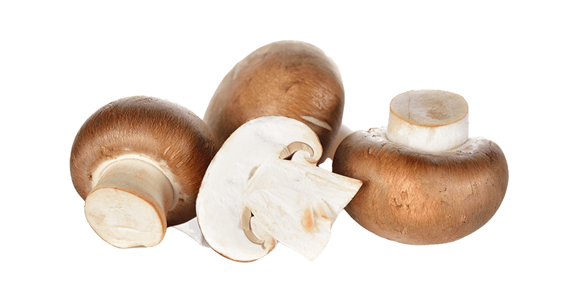 Champ ruskea 100 g | Champ